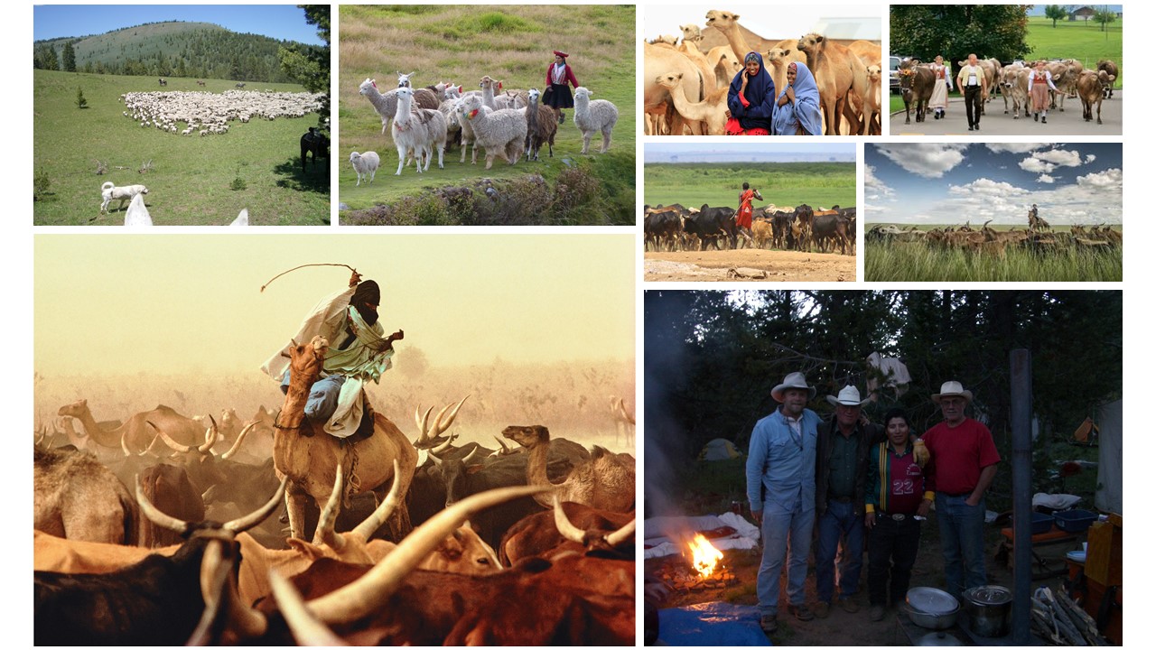 Kevin Jablonski – Livestock, humans, cultures